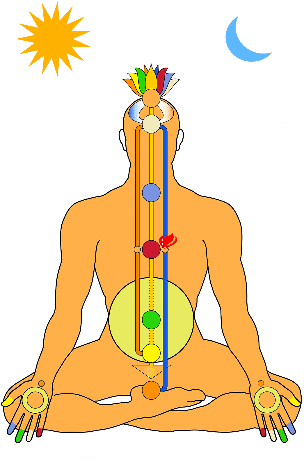 Hatha Yoga: pratica e benefícios - Yogateria